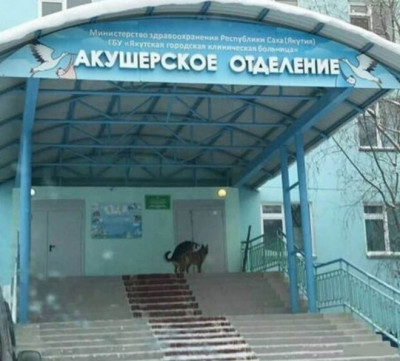 Конкурс "Придумай подпись для картинки" » Страница 103 » KpNemo